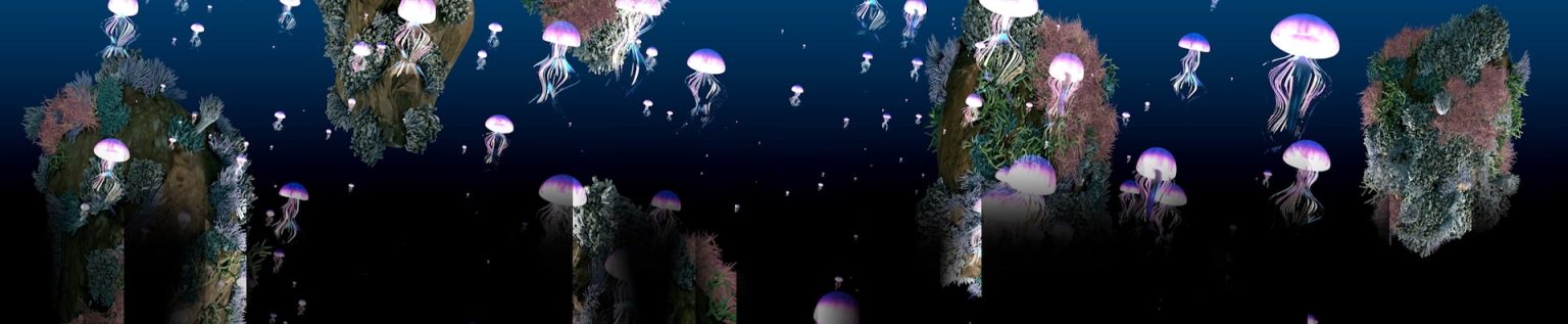 Superfly 15th Anniversary Live “Get Back!!” | KITE inc.